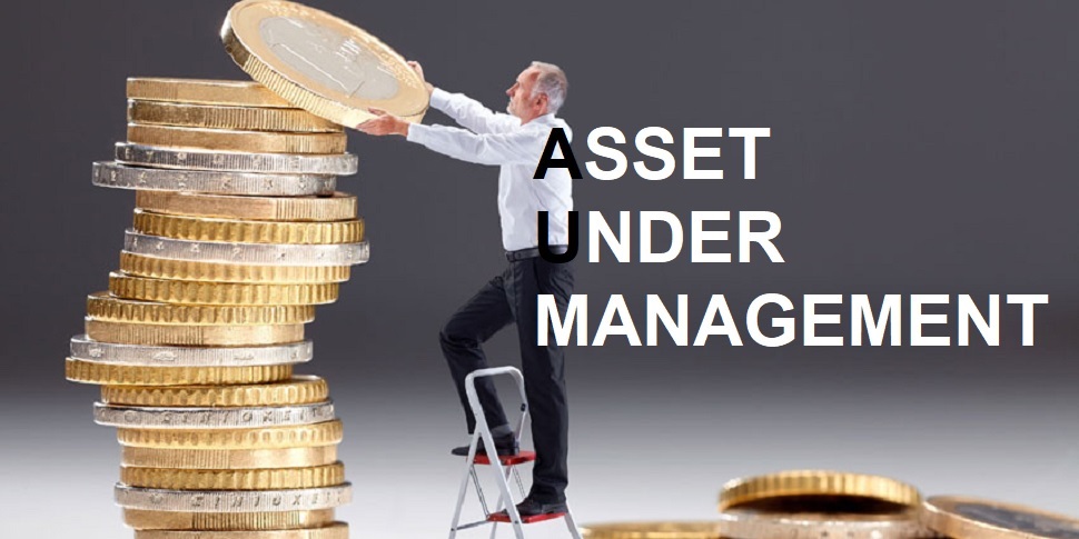 ASSET UNDER MANAGEMENT ( AUM ) - AnkerNews