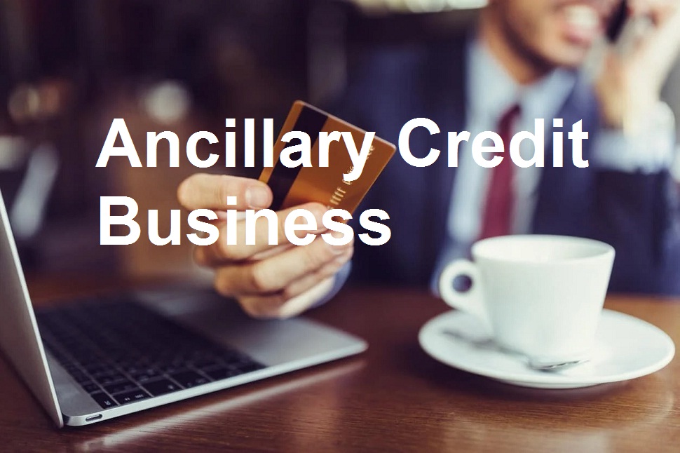 Ancillary Credit Business - AnkerNews
